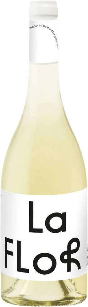 Bodega La Flor de Pulenta, Sauvignon Blanc, 2024 | La Boutique Du Vin